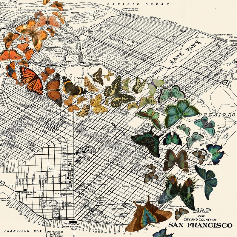San Francisco Butterfly Map Art Print: Vintage Collage (10x10) - Etsy