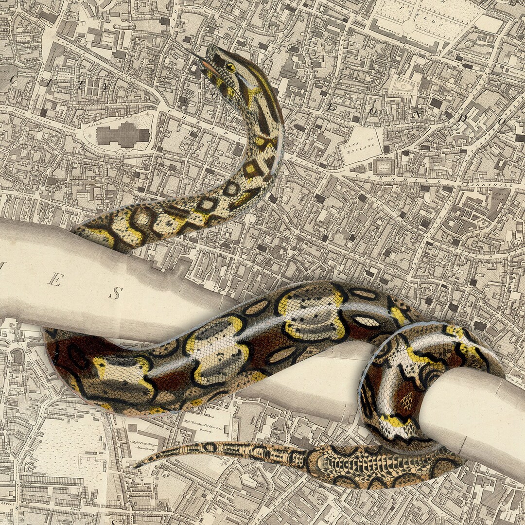 London Snake Map Art Collage Print, 10x10 Collaged Map Art Print - Etsy UK