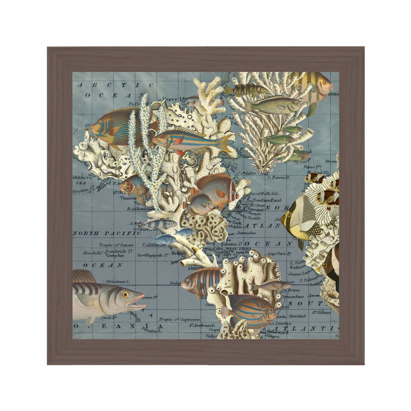 Coral Reef Map Art Collage Print 10x10 Collaged Map Art Print | Etsy