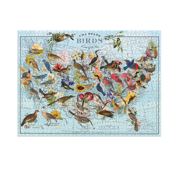 State Birds Of The United States