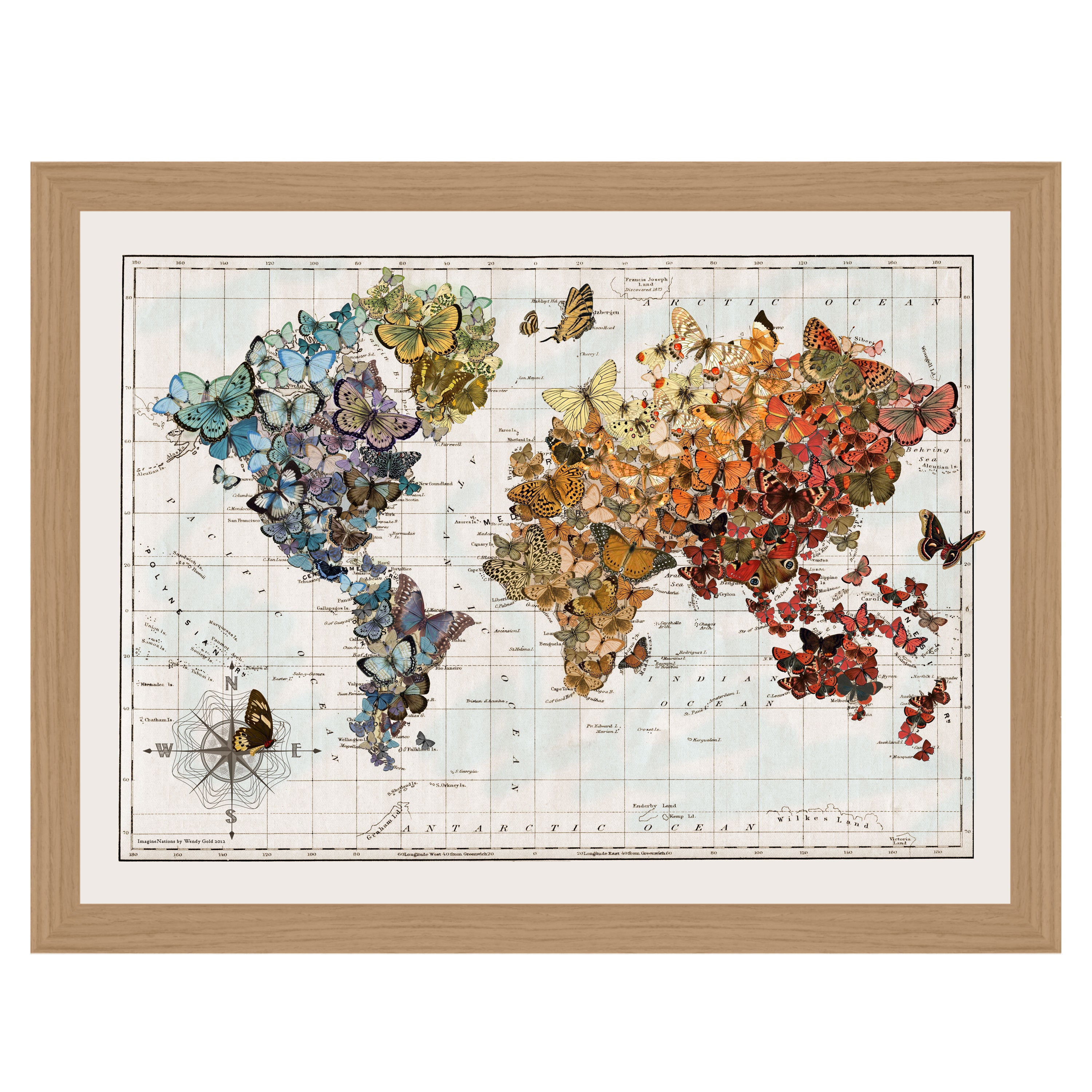 Butterflies Of The World Chart