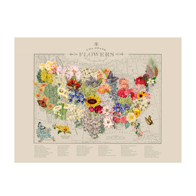 USA State Flowers Map Art Print: Vintage Floral Wall Decor - Etsy