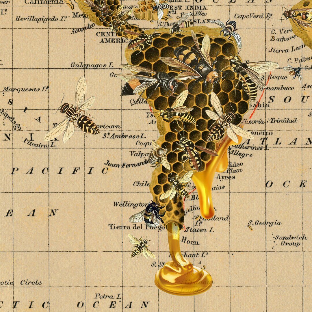 Bee Swarm Art Collage Print, 10x10 Collaged Map Art Print - Etsy