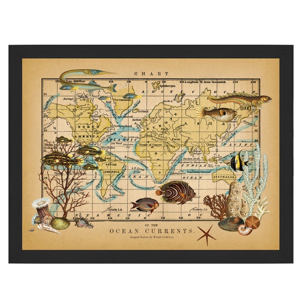Sea Life World Map - Etsy