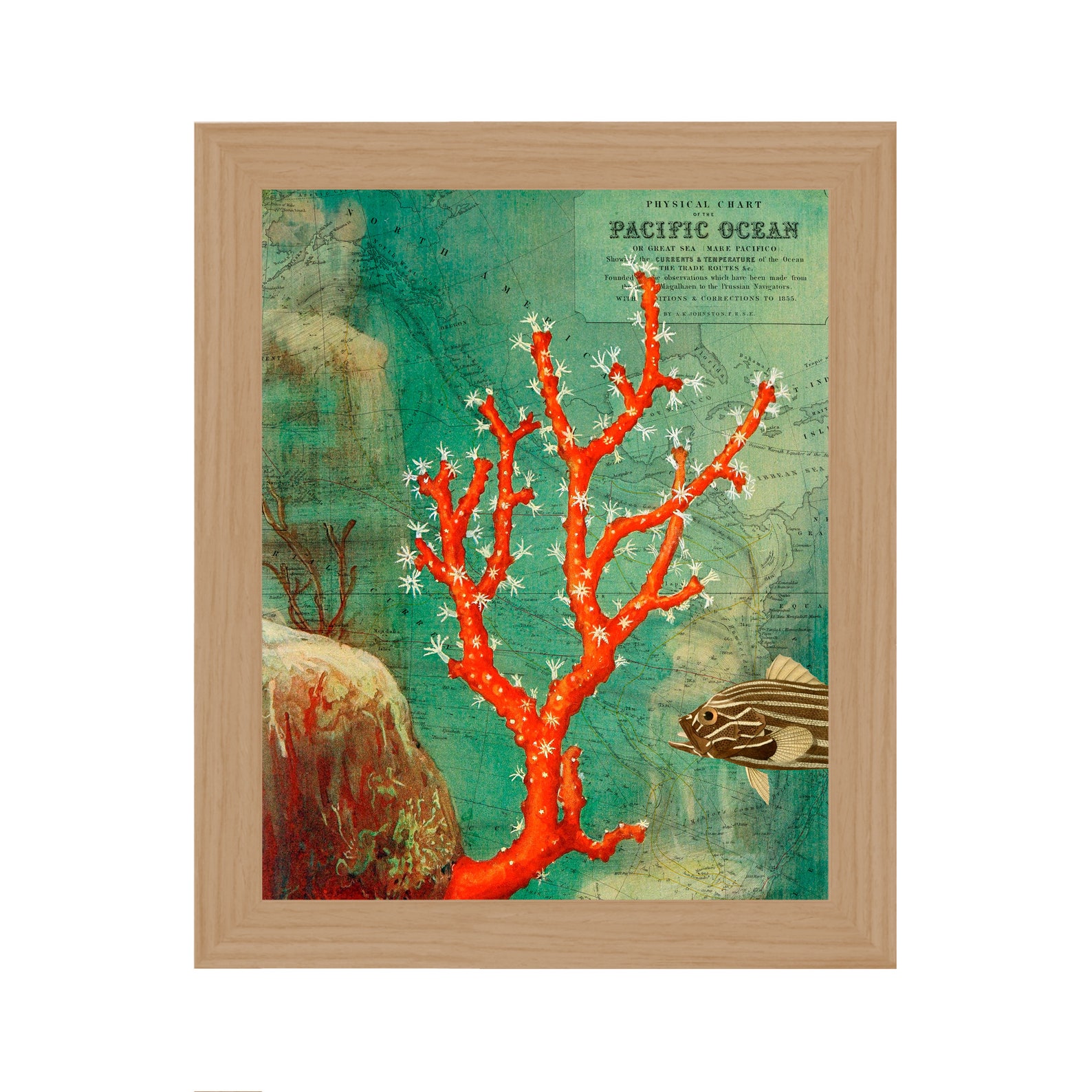 Pacific Ocean Coral Map Art Print: Wendy Gold Vintage Collage (8" X 10 ...