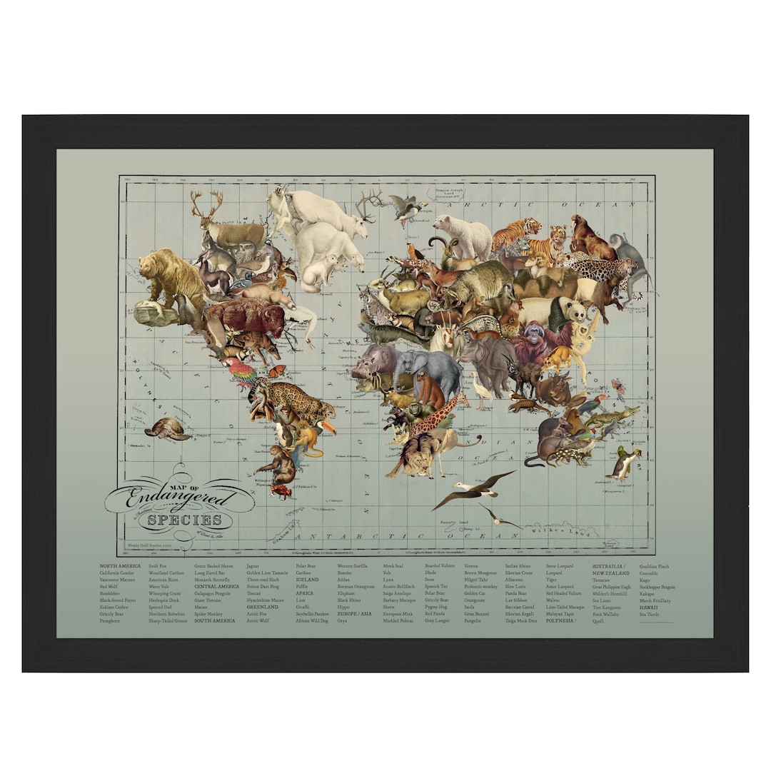 Endangered Animal Species World Map Art by Wendy Gold, Endangered ...