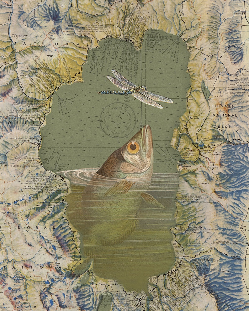 Fish Rising Collage Print 8x10 Collaged Map Art Print - Etsy