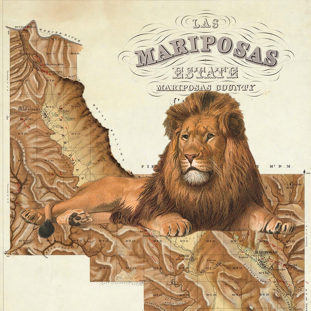 Lion of Mariposa Map Art Collage Print, 10x10 Collaged Map Art Print - Etsy