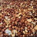Garlic Roasted Peanuts, Homemade Snacks - Etsy