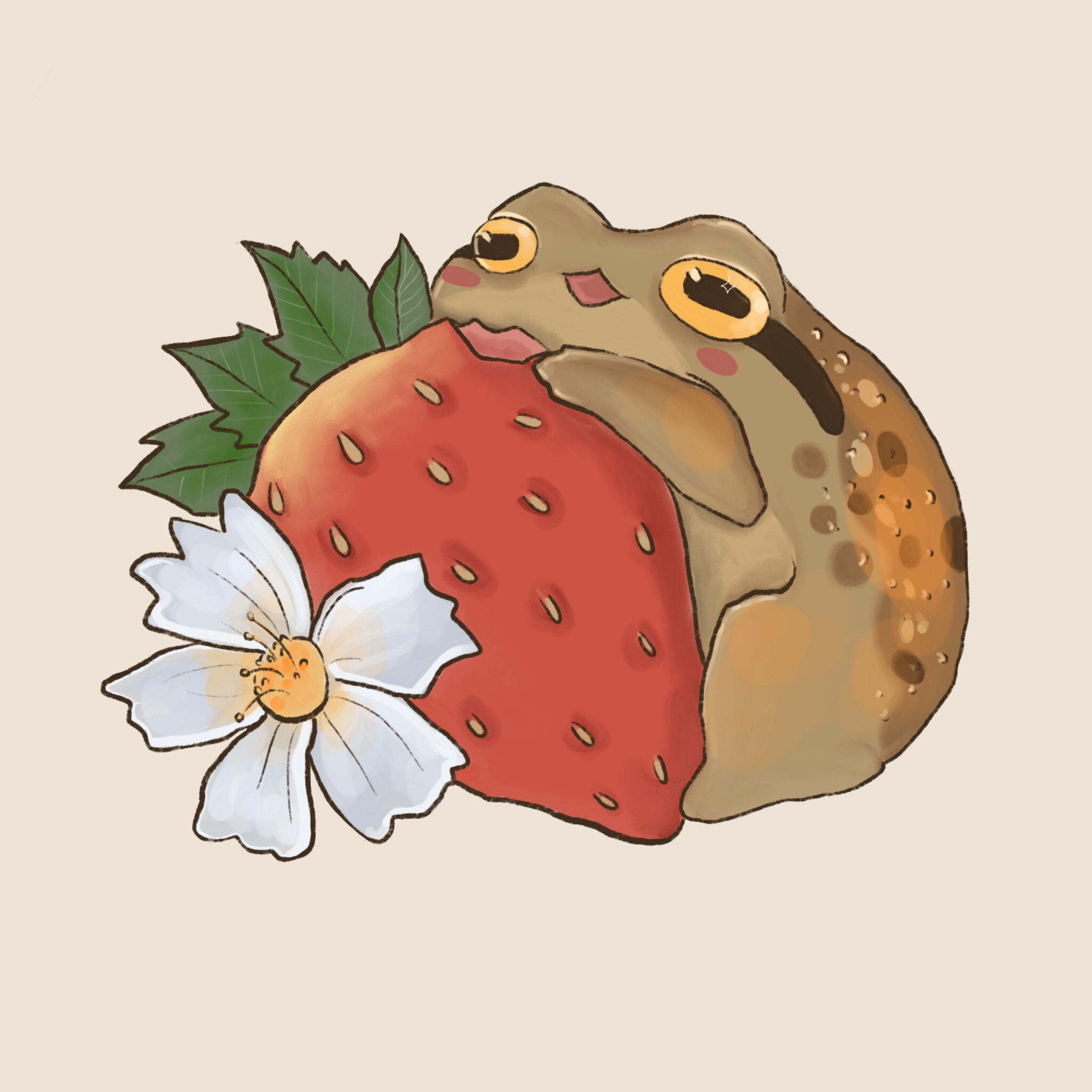 Hand Drawn Squishy Frog Clip Art - Etsy