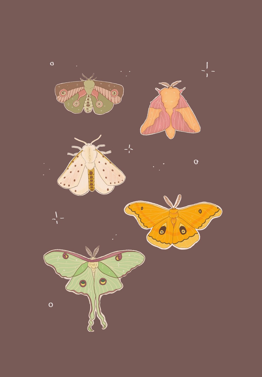 Cottage Core Moth Clip Art - Etsy