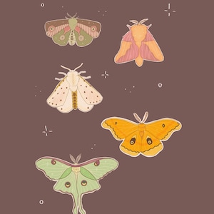 Cottage Core Moth Clip Art - Etsy