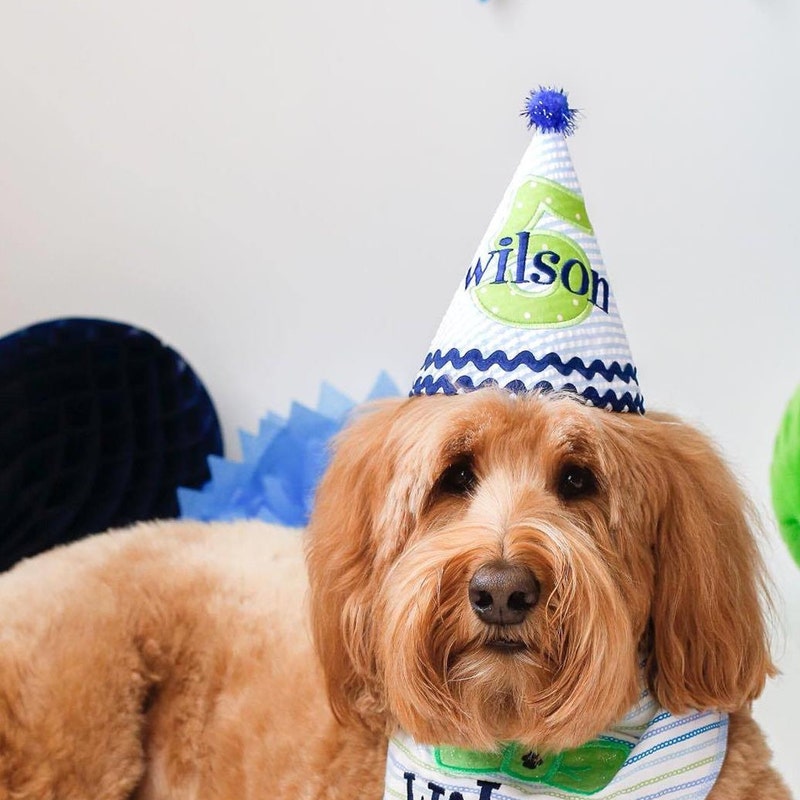 Dog Birthday Hat - Etsy