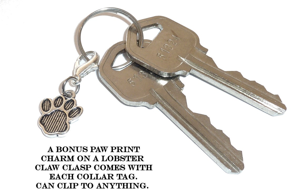 Custom Pet Dog Tags. Cat Tags, Funny Cute Sayings for Your Pet's Collar ...