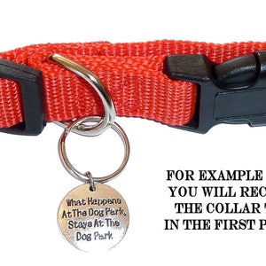 Custom Pet Dog Tags. Cat Tags, Funny Cute Sayings for Your Pet's Collar ...