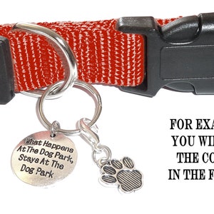Custom Pet Dog Tags. Cat Tags, Funny Cute Sayings for Your Pet's Collar ...