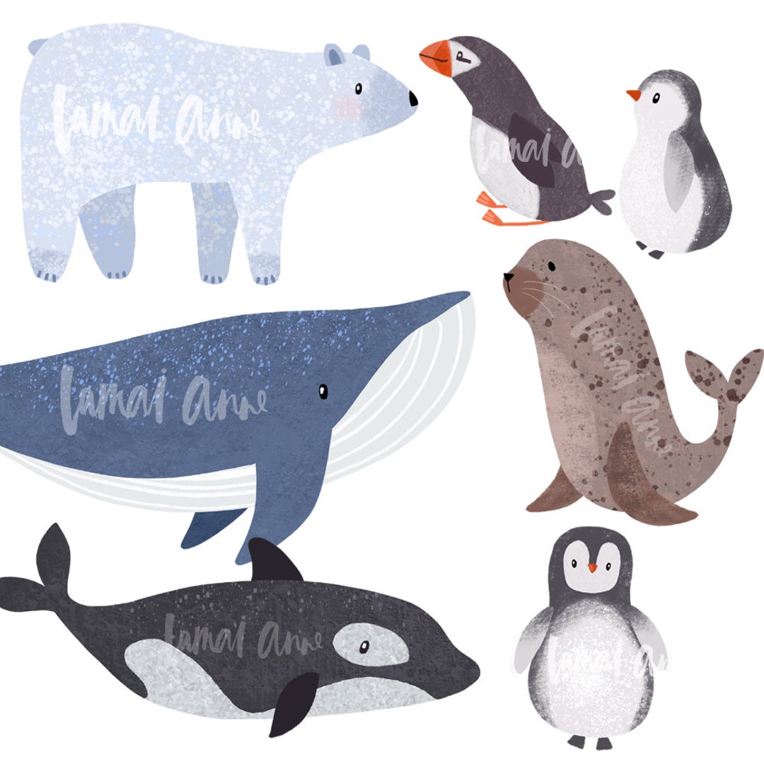 Arctic Animals Clipart Set for Personal and Commercial Use - Etsy