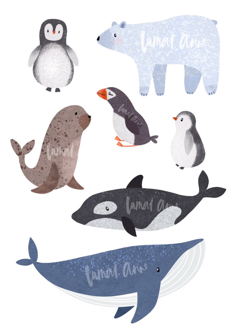 Arctic Animals Clipart Set for Personal and Commercial Use - Etsy
