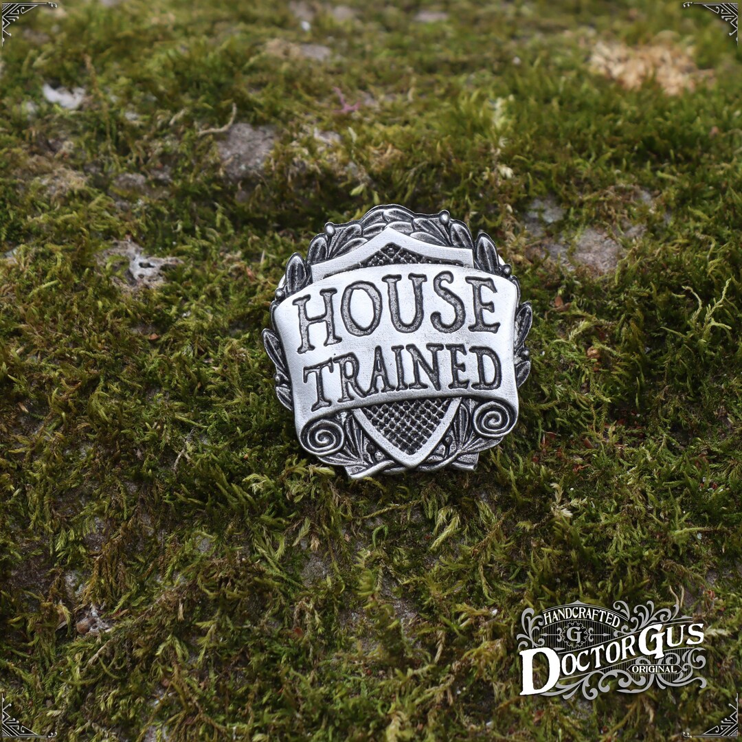 House Trained Badge - Gaming Character Class Pin - Handcrafted Pewter ...