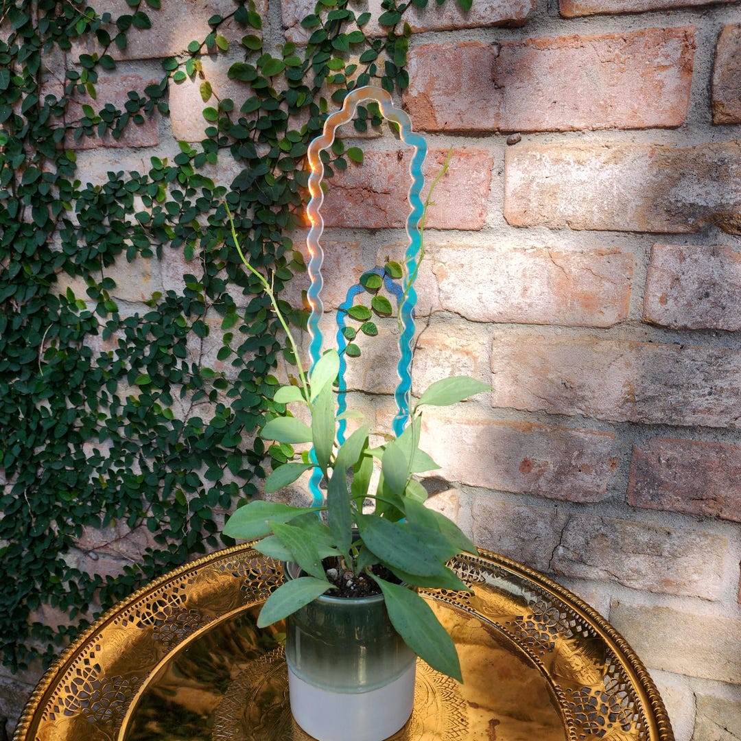Squiggly Rainbow Iridescent Plant Trellis (plant Not Included) - Etsy