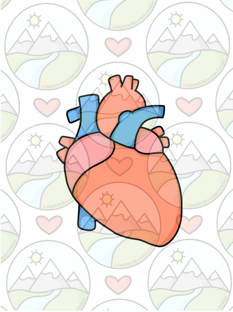 Human Heart Cookie Cutter - Etsy