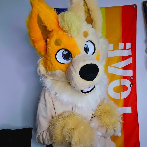 Fursuit - Etsy México