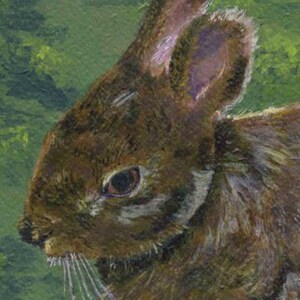 Cottontail Bunny Rabbit Fine Art Print of Acrylic Painting 8 X 8.3 ...