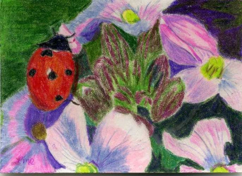 Cute Ladybug ACEO Prismacolor Pencil Painting Reproduction - Etsy