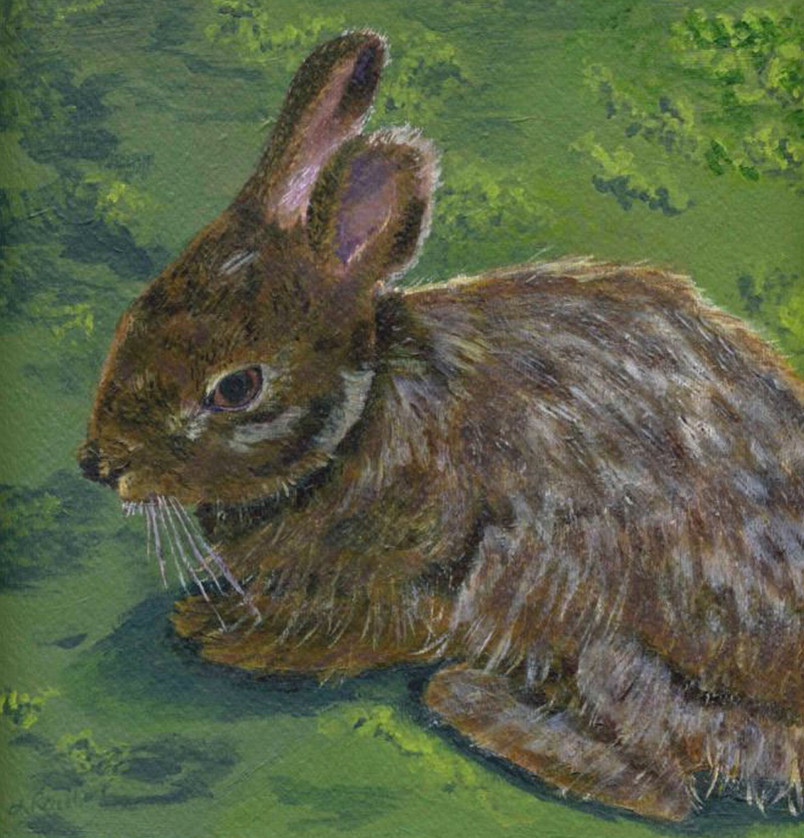 Cottontail Bunny Rabbit Fine Art Print of Acrylic Painting 8 X 8.3 ...