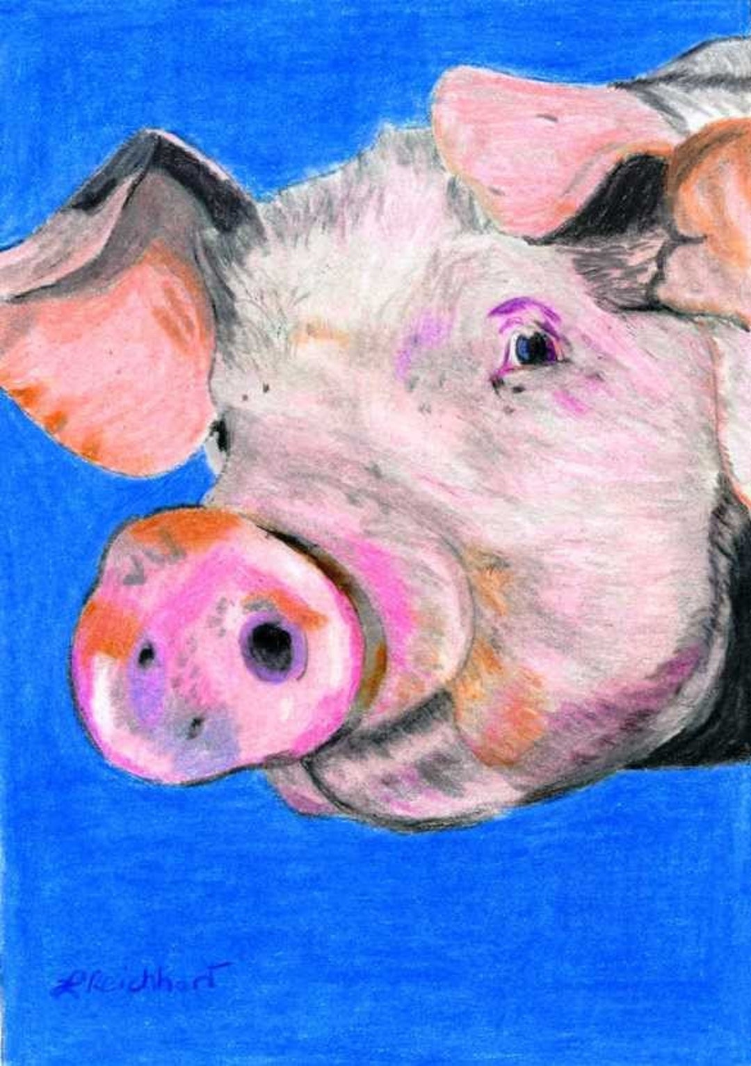 Cute Pink Pig Colored Pencil Painting Print Farm Animals Kids - Etsy