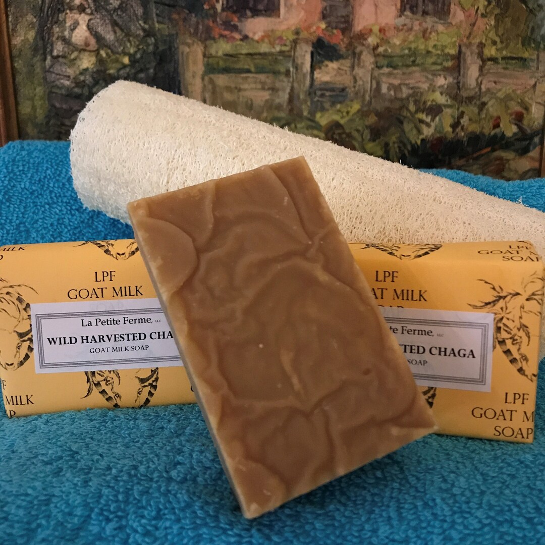 Chaga Goat Milk Soap, Wild Harvested Chaga, Pure Chaga, Turmeric Chaga ...