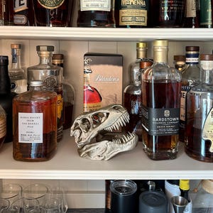 Tyrannosaurus Rex Skull | Detailed 3D Printed Fossil Replica - Etsy