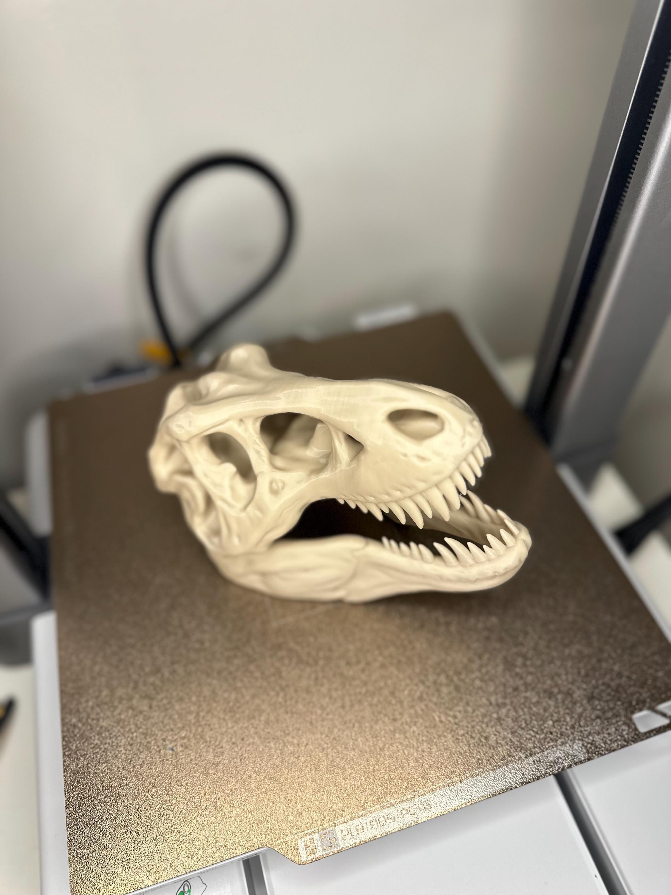 Tyrannosaurus Rex Skull | Detailed 3D Printed Fossil Replica - Etsy