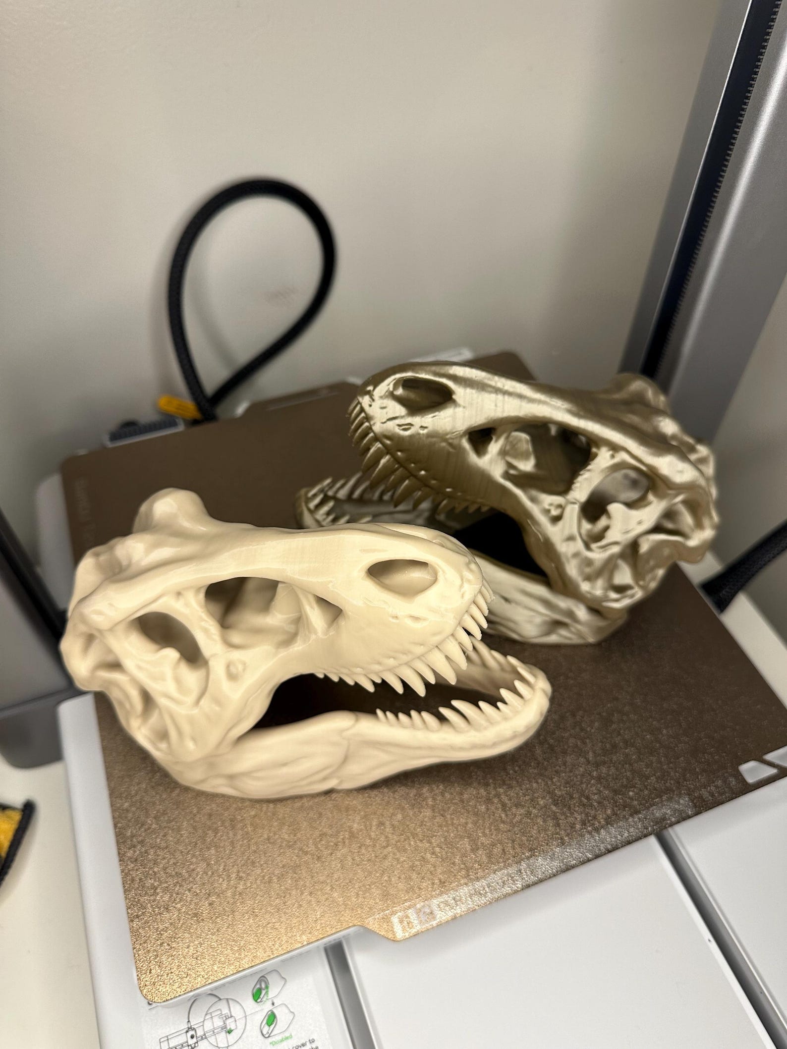Tyrannosaurus Rex Skull | Detailed 3D Printed Fossil Replica - Etsy