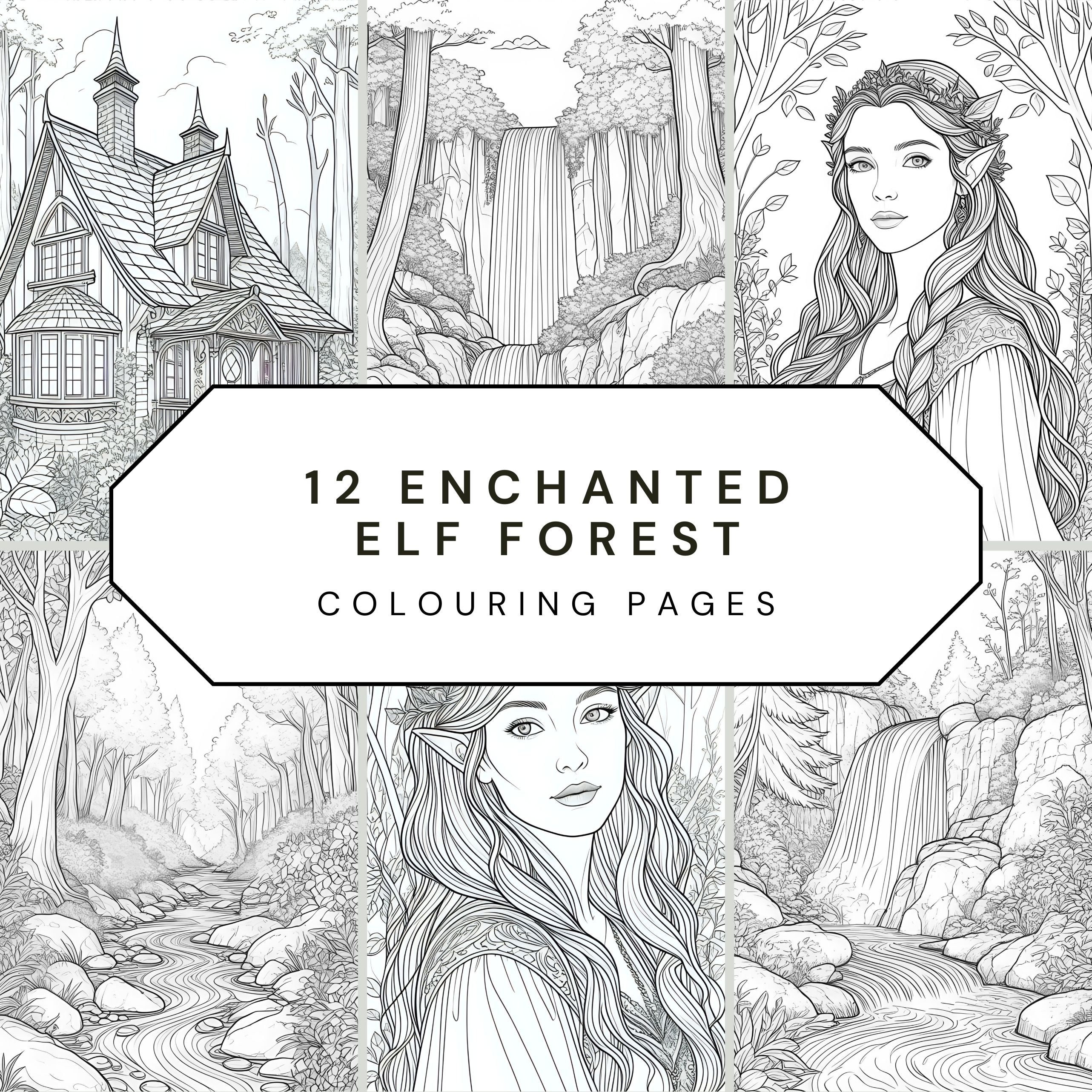 12 Colouring Pages Enchanted Elf Forest, Beautiful Gift Idea, Art ...