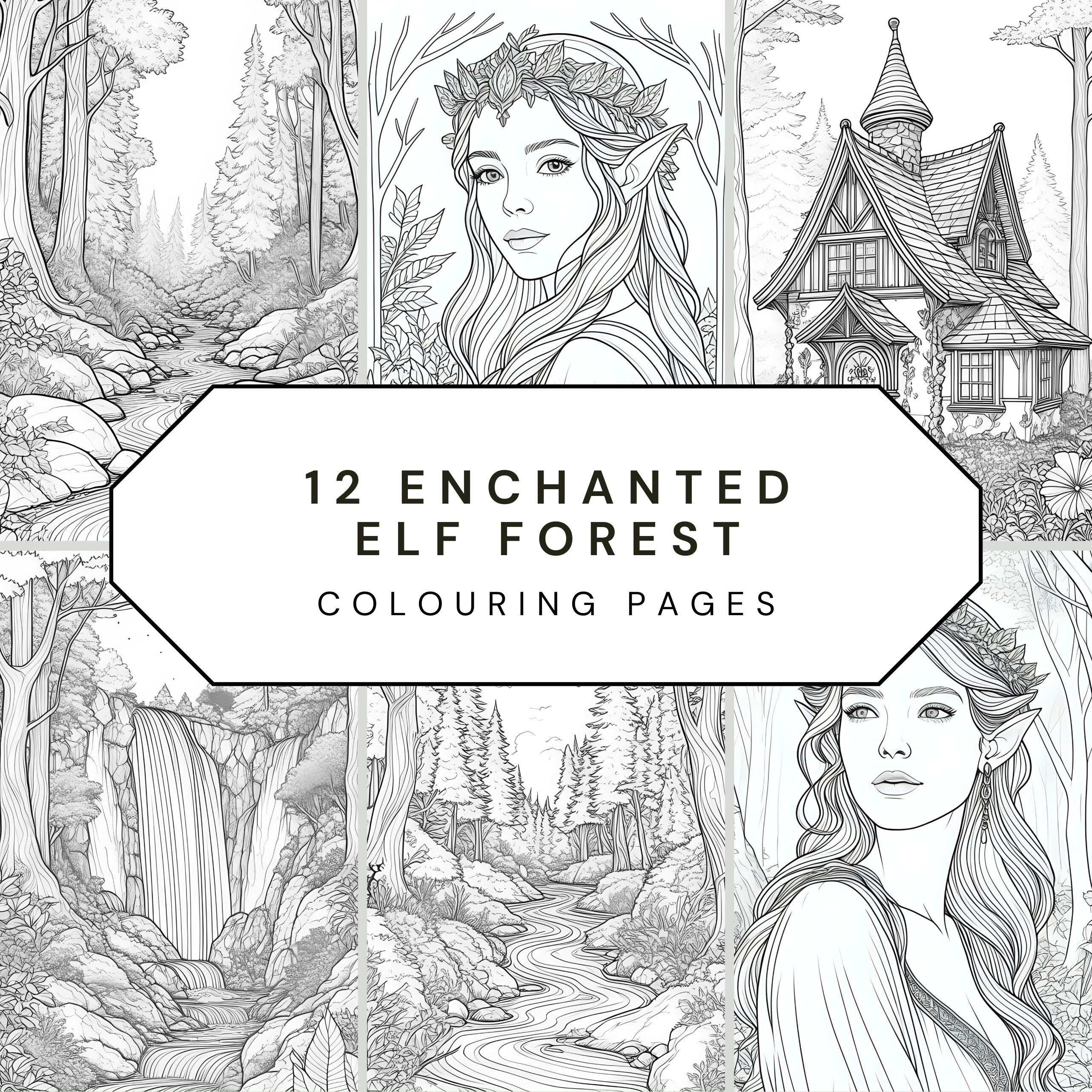 12 Colouring Pages Enchanted Elf Forest, Beautiful Gift Idea, Art ...
