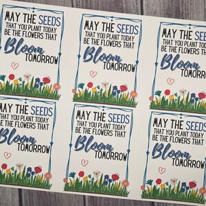 PRINTABLE Favor & Kindness Cards- Two Sizes Included! - Seed Packet and ...