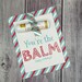 PRINTABLE HOLIDAY You're the Balm- Chapstick Appreciation Tag- Perfect ...