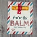 You're the BALM Valentines- Chapstick Valentines- Perfect for Coworkers ...