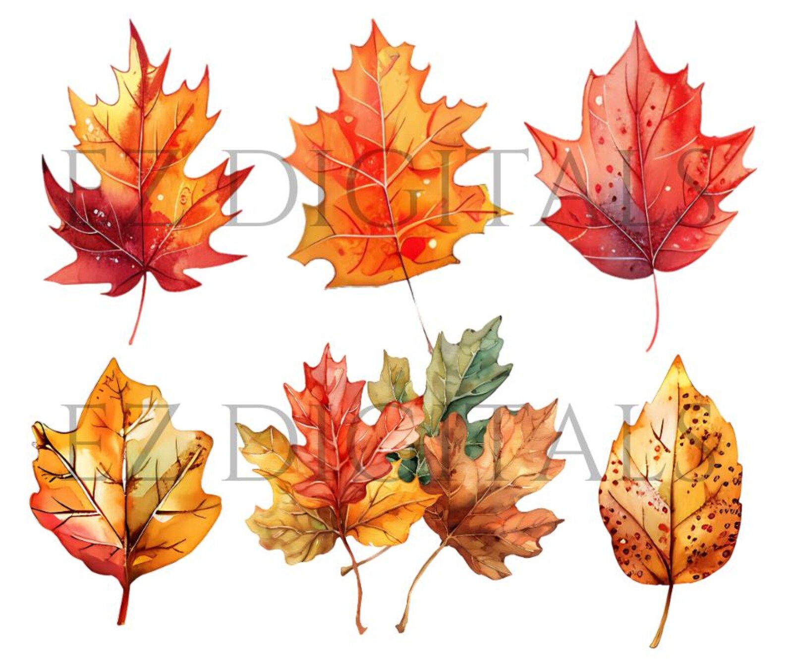 Fall Leaves Clipart Fall Leaves Clip Art Fall Leaves PNG Fall Leaves ...