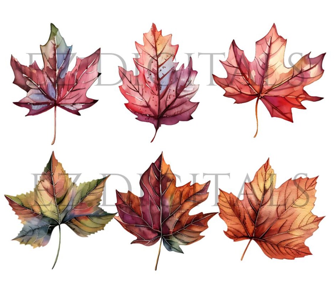 Fall Leaves Clipart Fall Leaves Clip Art Fall Leaves PNG Fall Leaves ...