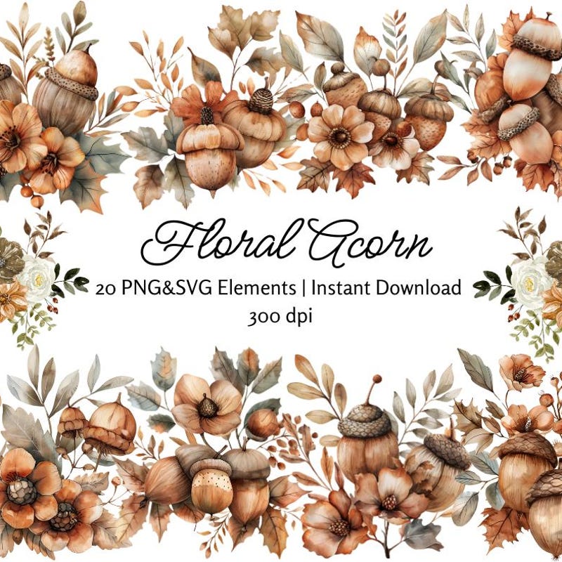 Acorn Clip Art - Etsy