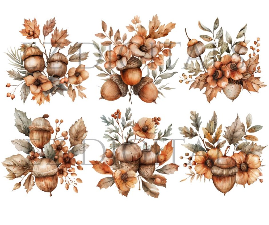 Fall Acorn Clipart Fall Acorn Clip Art Fall Acorn PNG Fall Acorn SVG ...