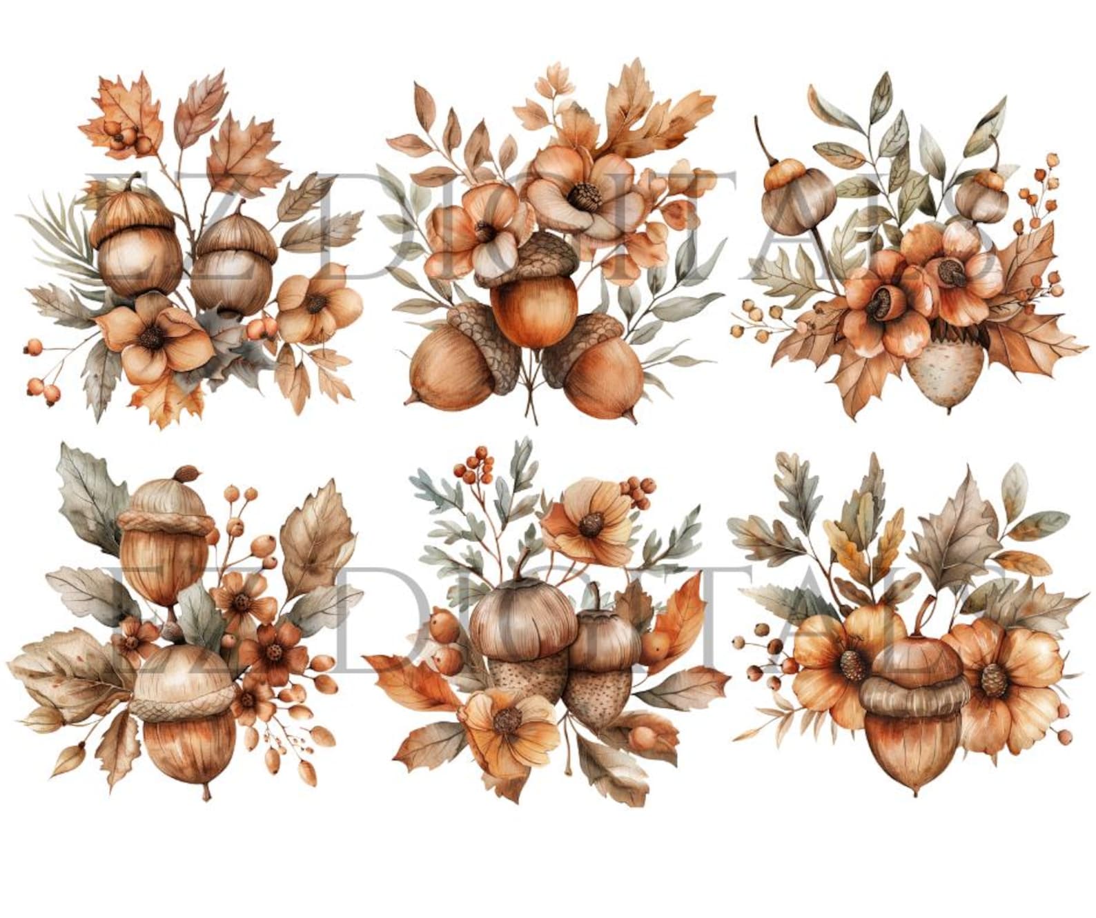 Fall Acorn Clipart Fall Acorn Clip Art Fall Acorn PNG Fall Acorn SVG ...