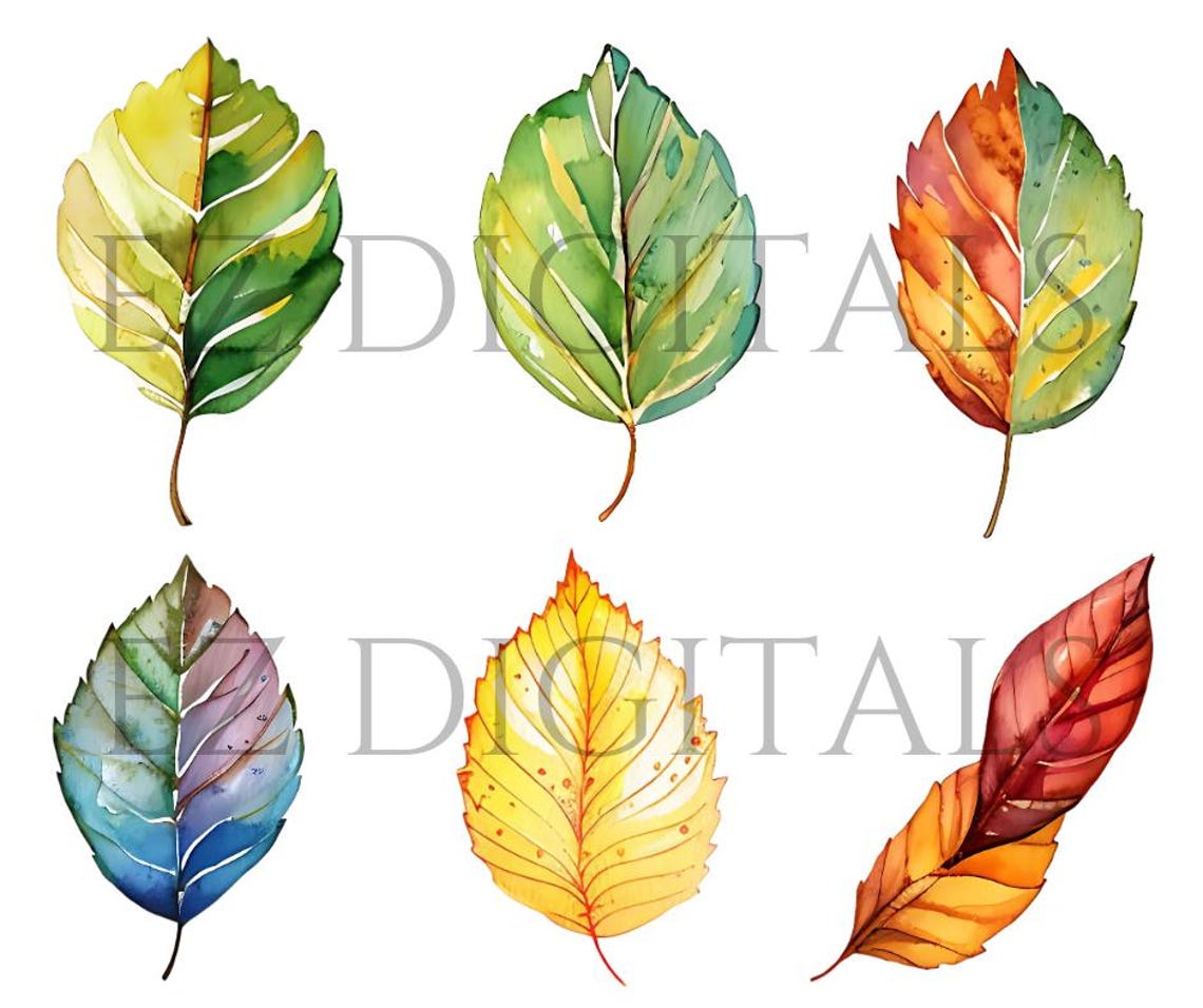 Fall Leaves Clipart Fall Leaves Clip Art Fall Leaves PNG Fall Leaves ...
