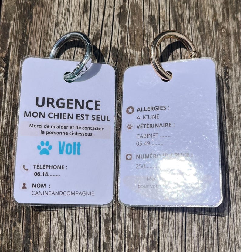 Personalized Dog or Cat Emergency Tag/card/medical Information Sheet ...