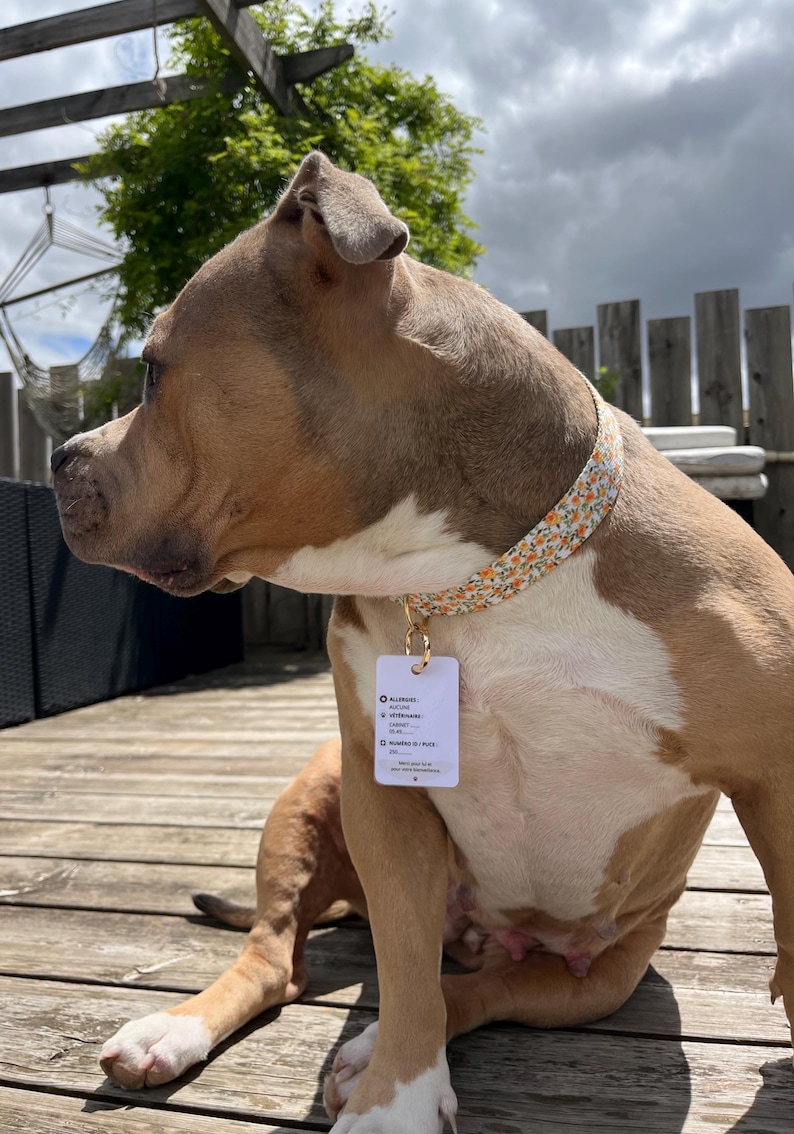 Personalized Dog or Cat Emergency Tag/card/medical Information Sheet ...