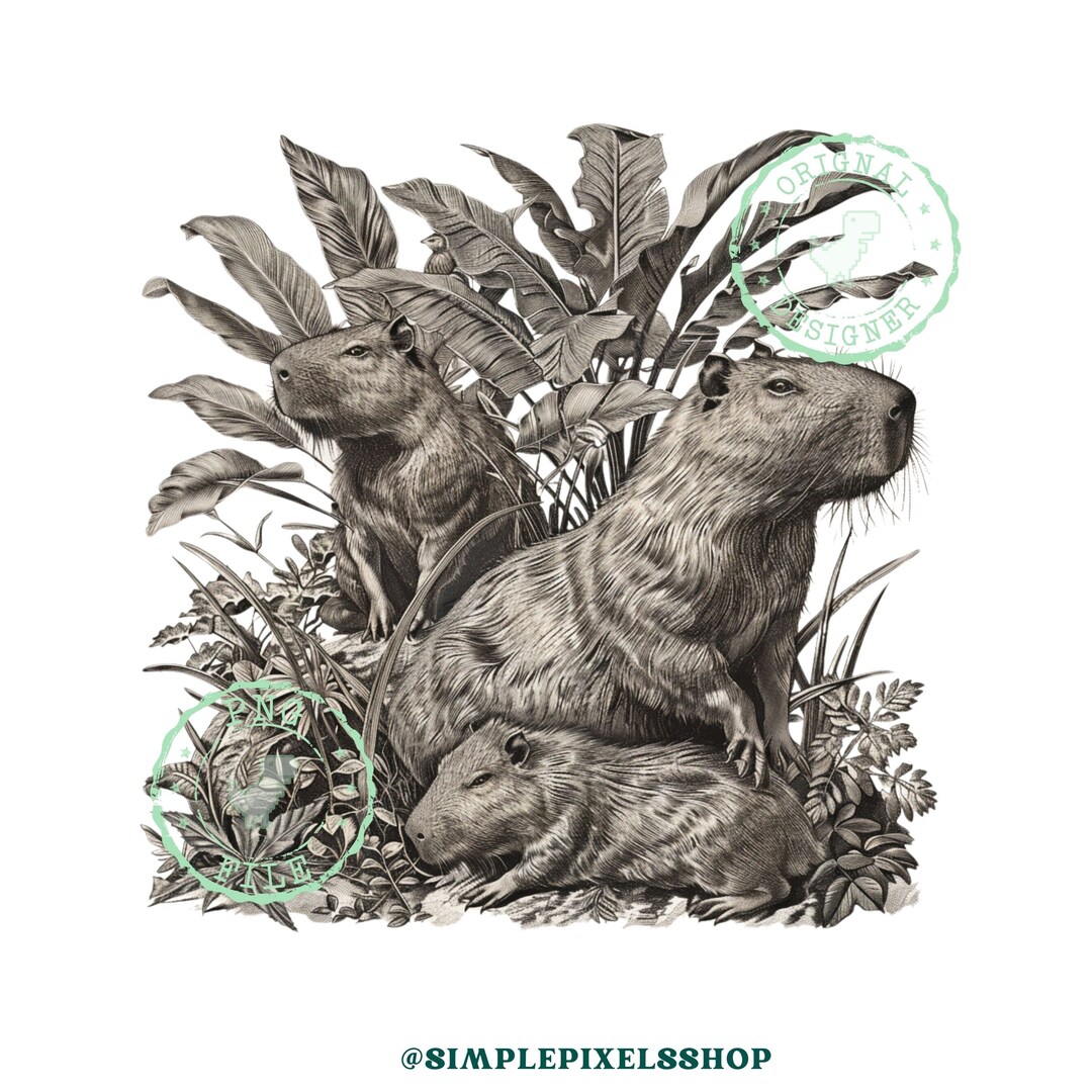 Capybara Png, Capybara Illustration Png, Capybara Gift, Capybara Art ...