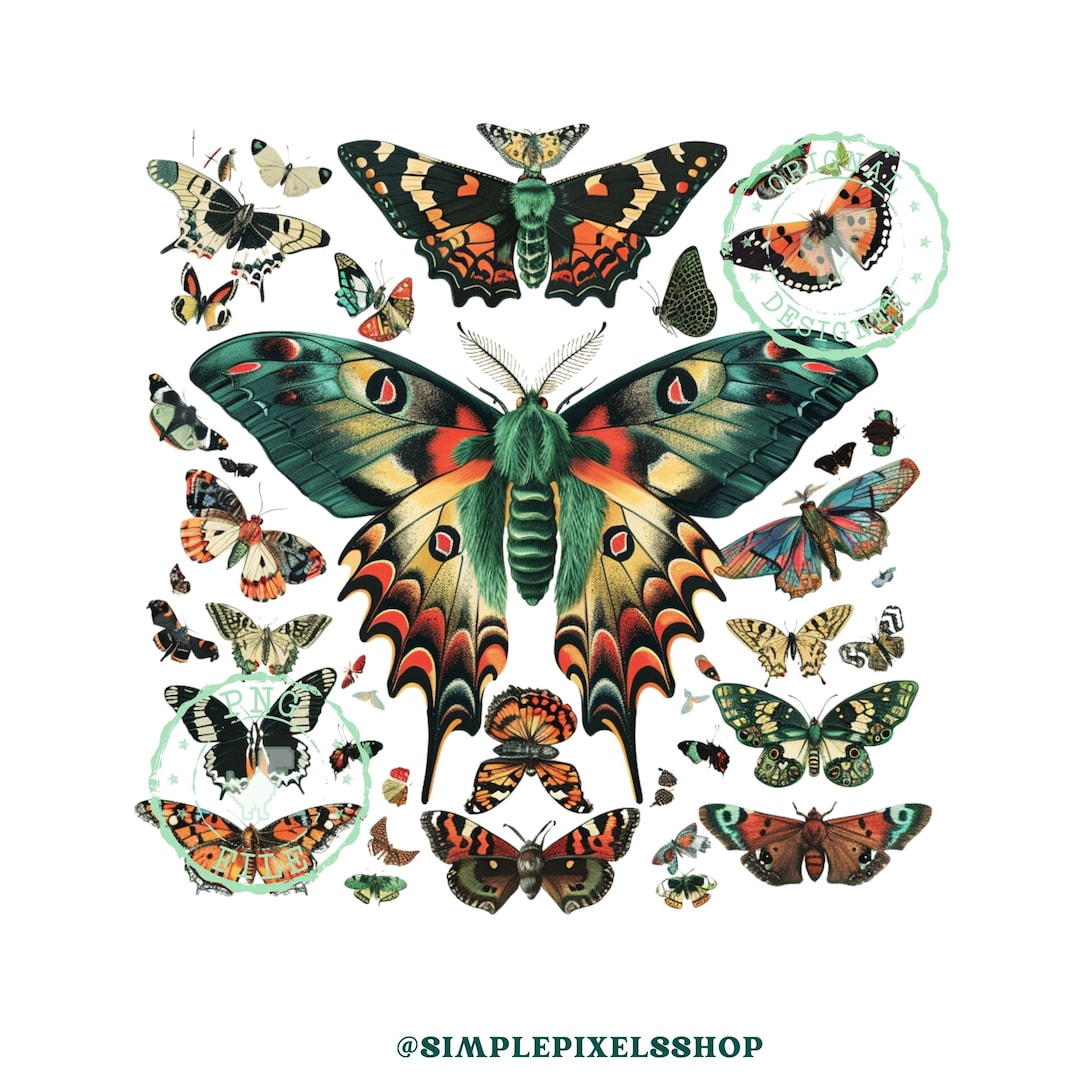Moth Illustration Png, Png for Nature Lovers, Vibrant and Unique Art ...