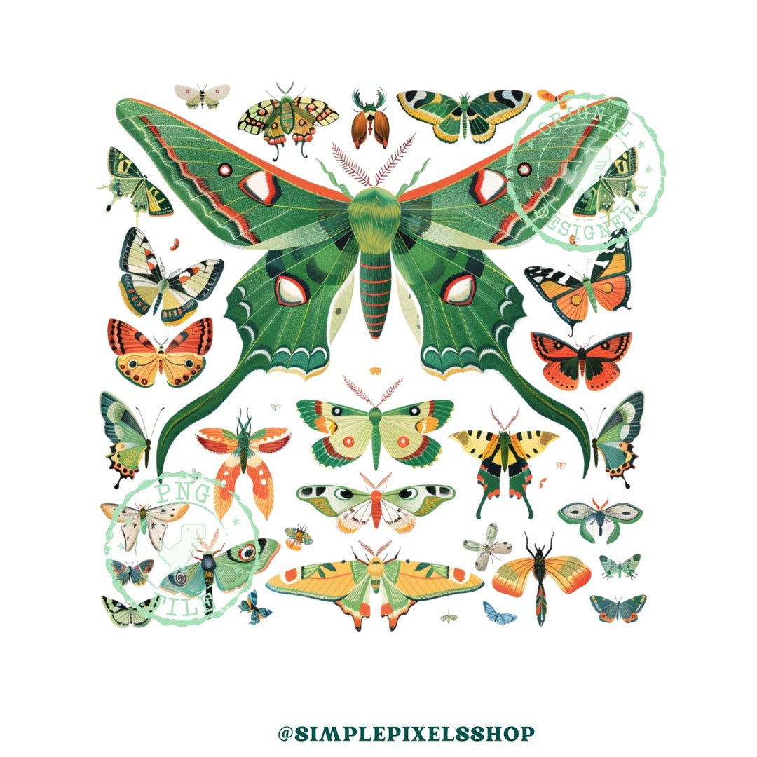 Moth Illustration Png, Png for Nature Lovers, Vibrant and Unique Art ...